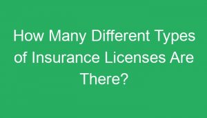 How Many Different Types of Insurance Licenses Are There?